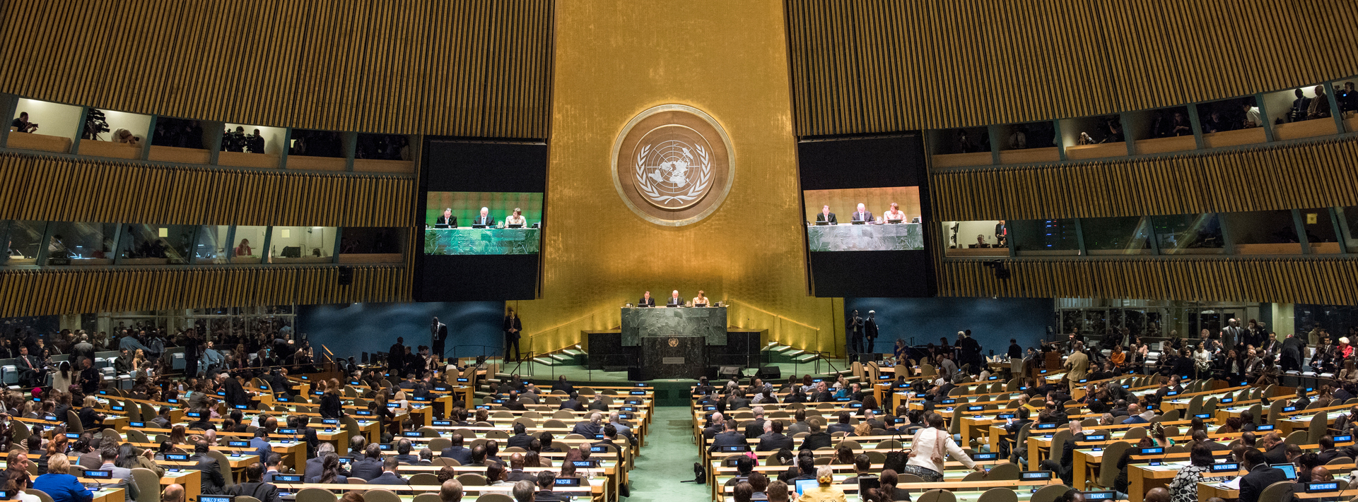 The Future of Multilateral Diplomacy - Model UN